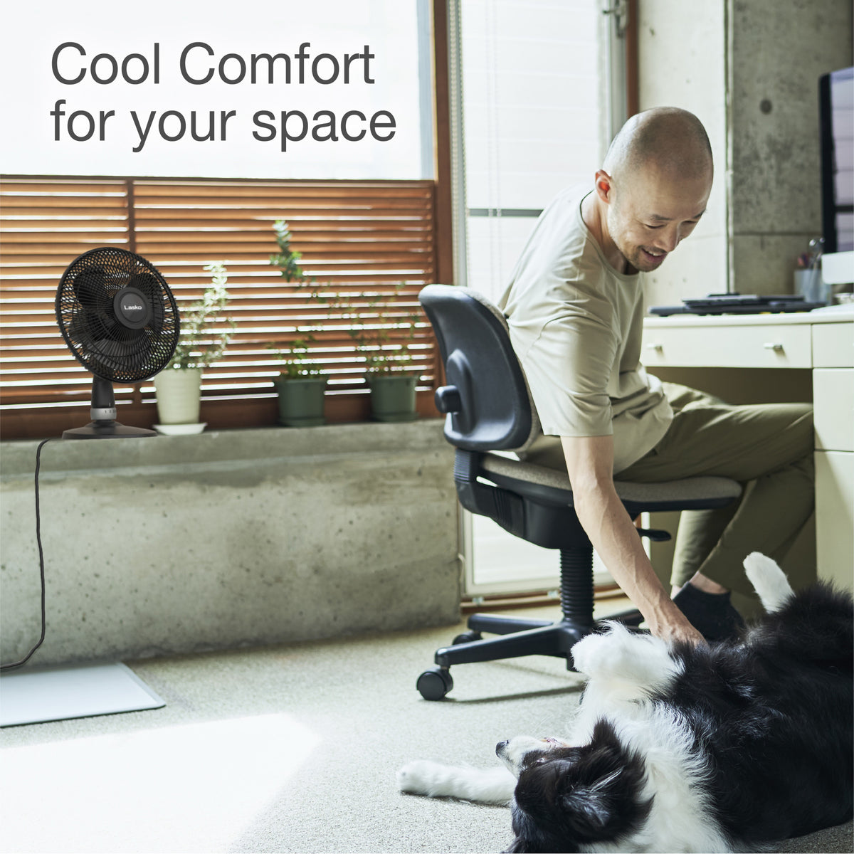 Lasko 3-Speed Table Fan with Widespread Oscillation, D12525, Black